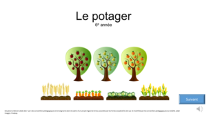 Résolution de problèmes au 3e cycle – La mathématique à l'école primaire